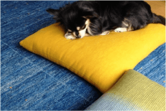 dummy-column | アフター9のリラックス いとしや